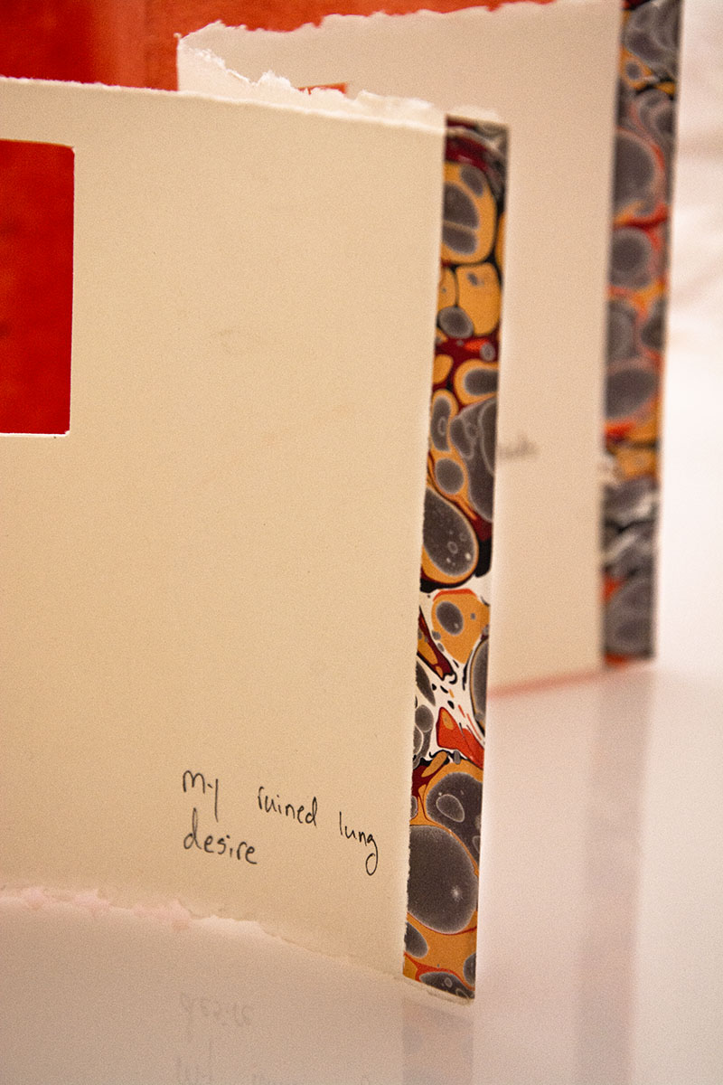Lending Library of the Invisible – Maternal Mitochondria